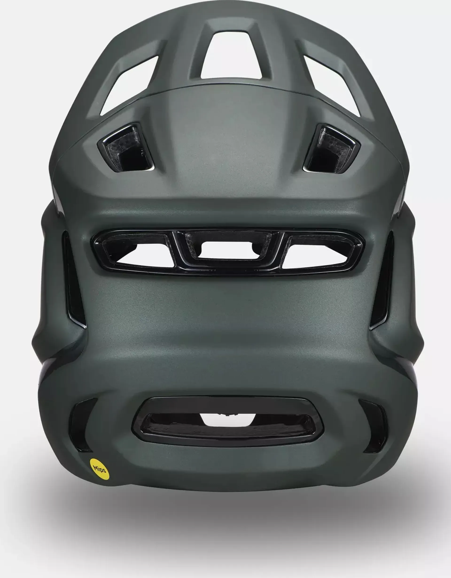 Specialized Gambit FullFace MIPS MTB Helmet Oak Green