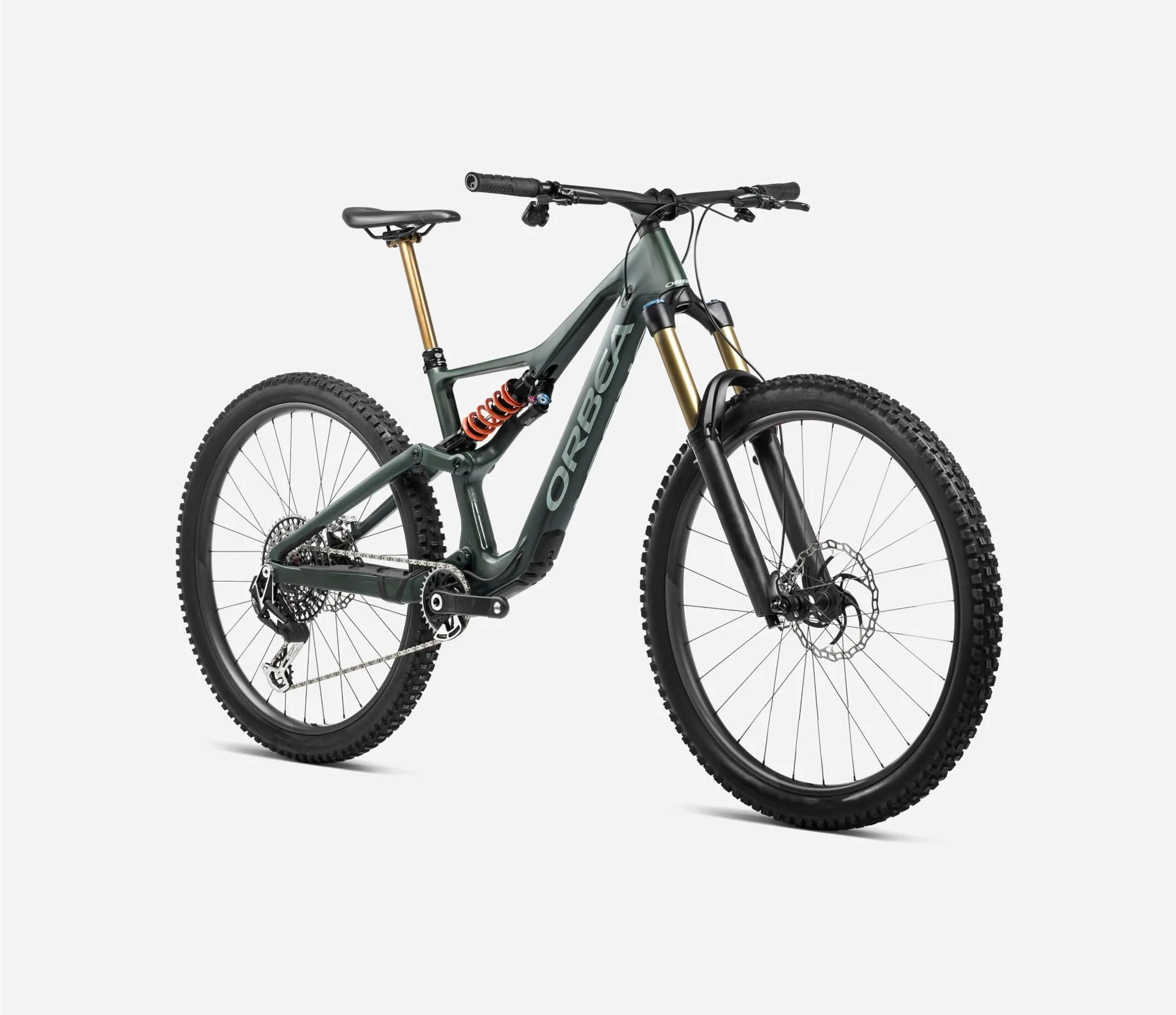 Orbea Rallon M-LTD Mountain Bike 2024 Forest Green Carbon View/Blue Stone
